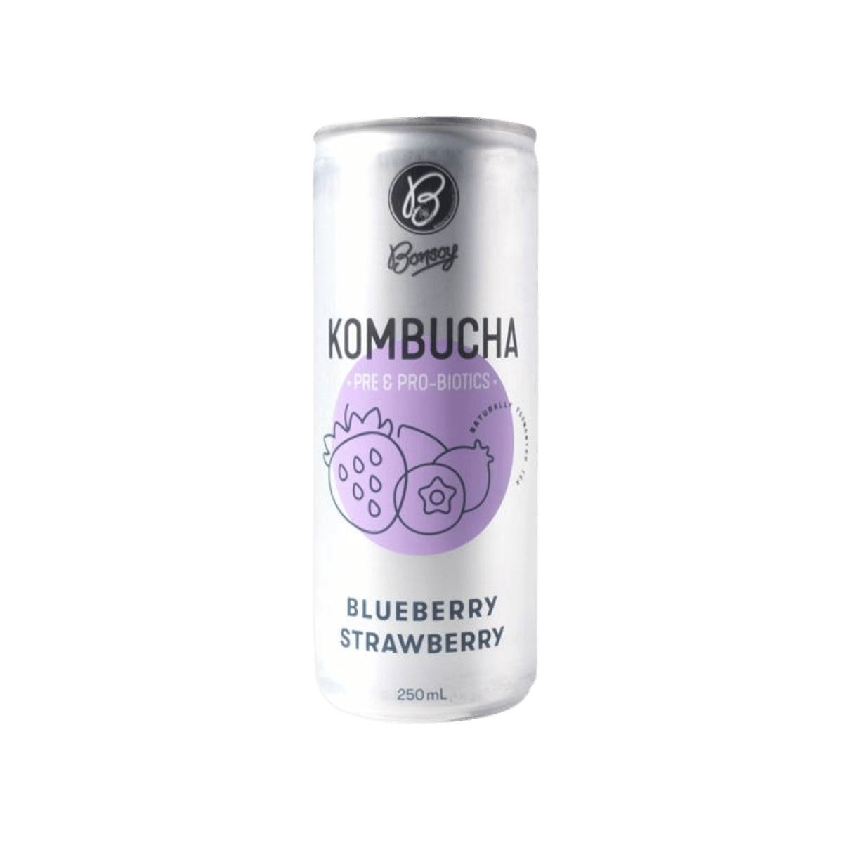 Bonsoy Kombucha Blueberry Strawberry 250ml (12 pack) - Powered by PopCart™